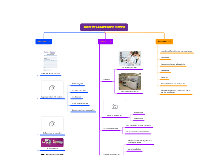 FASES DE LABORATORIO CLINICO - Mind Map